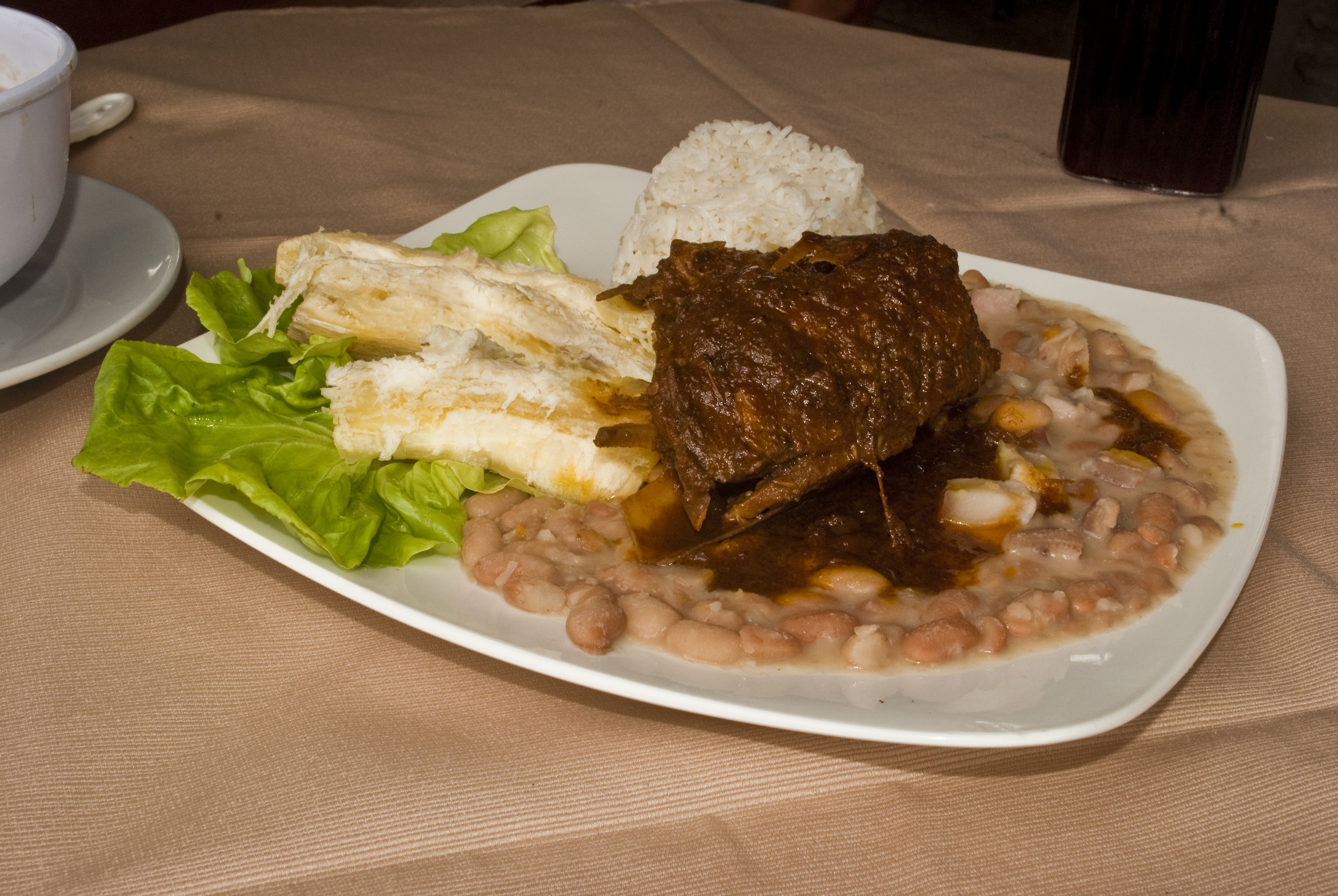 Pato en Ají de Huaral, el último plato de Perú - SudAméricaHoy